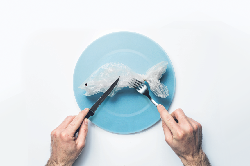 Microplastics on your plate: What is being done to reduce plastic waste?