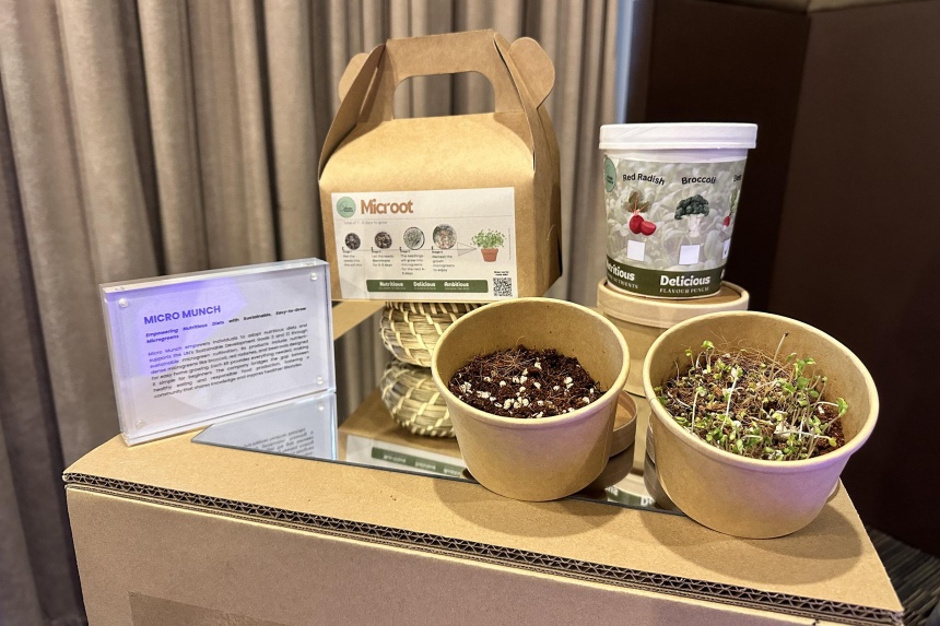 This polytechnic student’s microgreens project is now his major passion