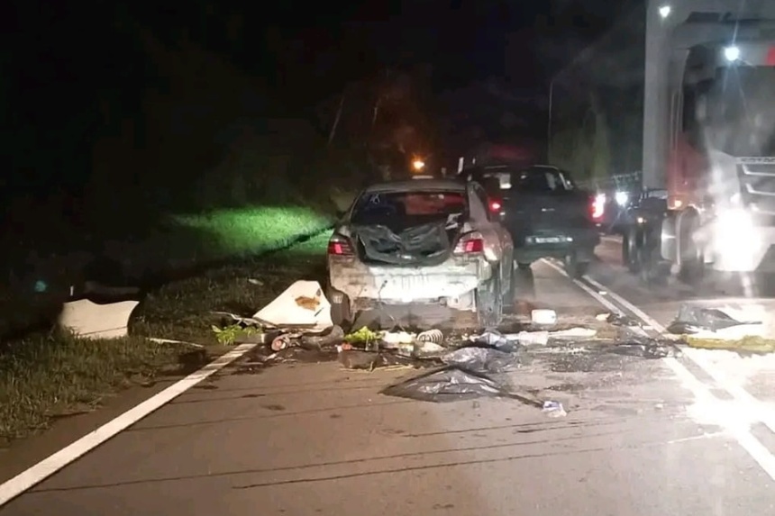 Mammoth road rage: Elephants attack car in Malaysia allegedly after ...