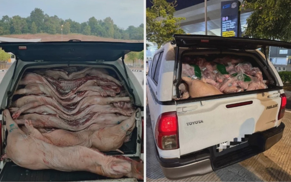 AKPS foils attempt to smuggle 2,000 kg of pig carcasses