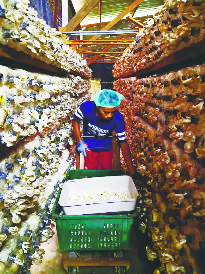 Tanjung Sepat: 8 fun things to do on one-day getaways - Newswav