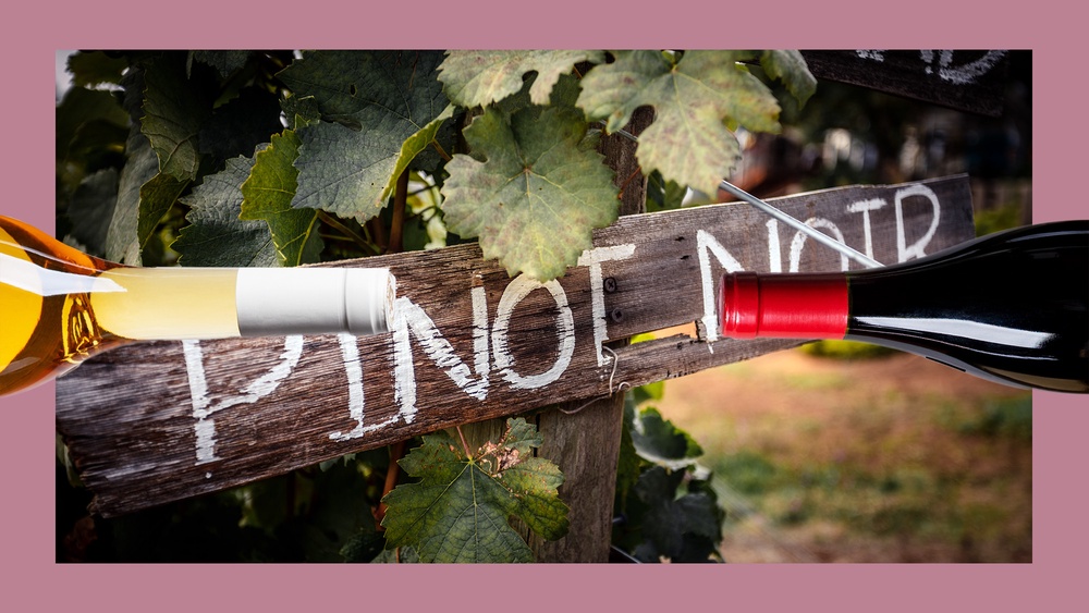 5 of the Best Pinot Noirs From South Africa