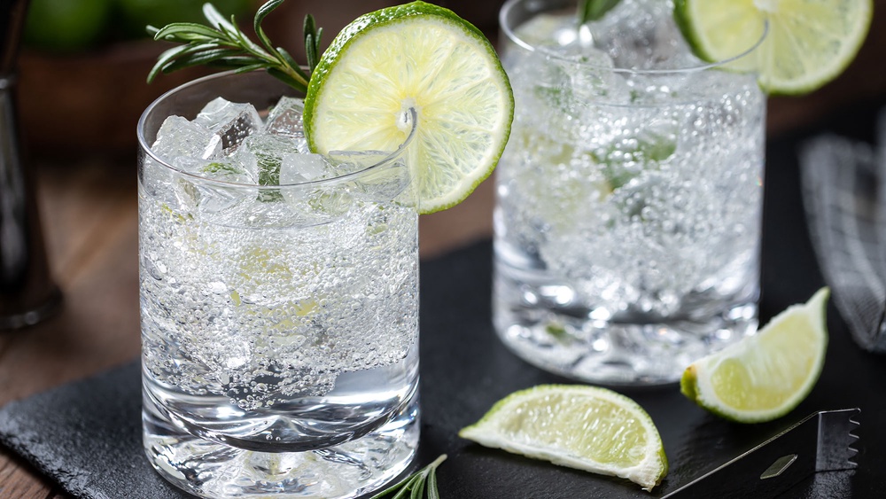The Ultimate Gin Flavor Map [Infographic]