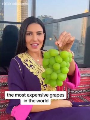 Tak berjaya beli penthouse termahal di Dubai, wanita ini sanggup ...