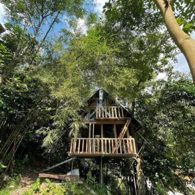 Rumah kayu atas pokok, keunikan Rainforest Tree House jadi tarikan di ...