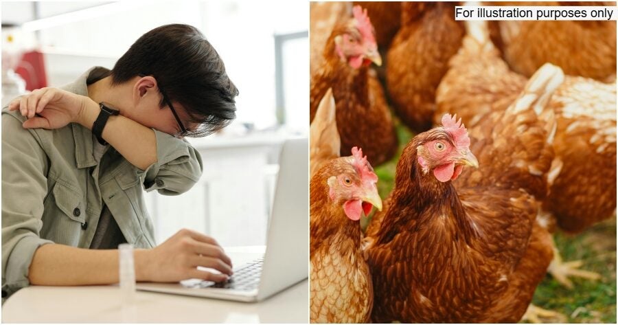 Experts Fear Another Pandemic as New Virus Outbreak Spreads Across All ...