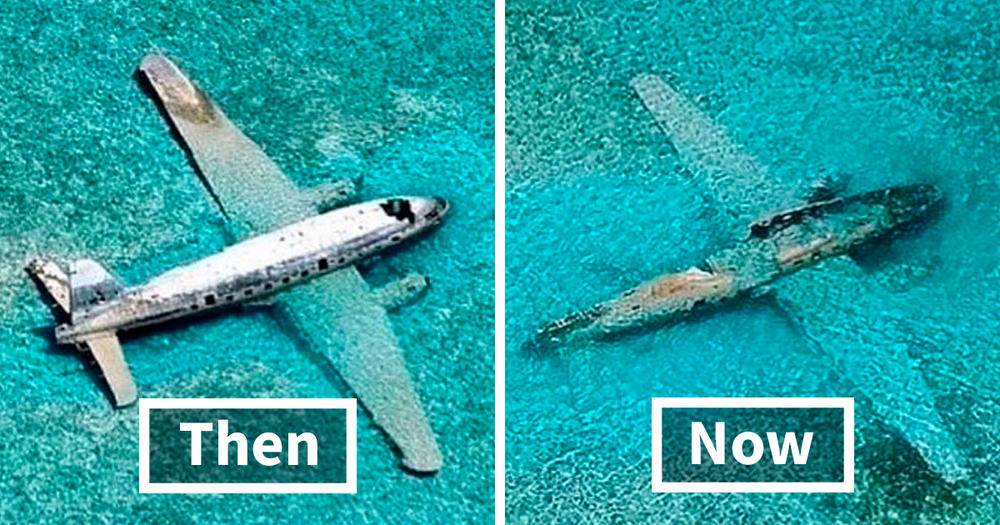 People Are Sharing ‘Then And Now’ Pics On This Page To Show How Time ...