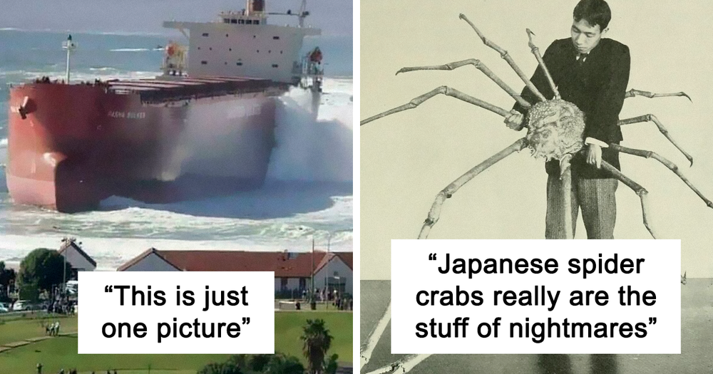 This Online Group Posts Pics Of Massive Things That Are A Big ‘Nope ...
