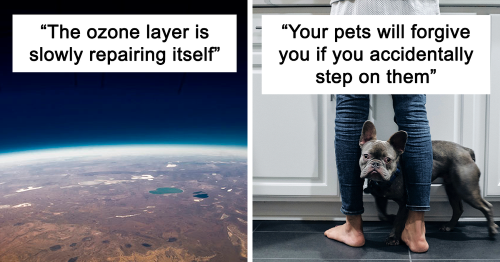 Someone Asked For ‘Very Comforting Facts,’ And 28 People Delivered