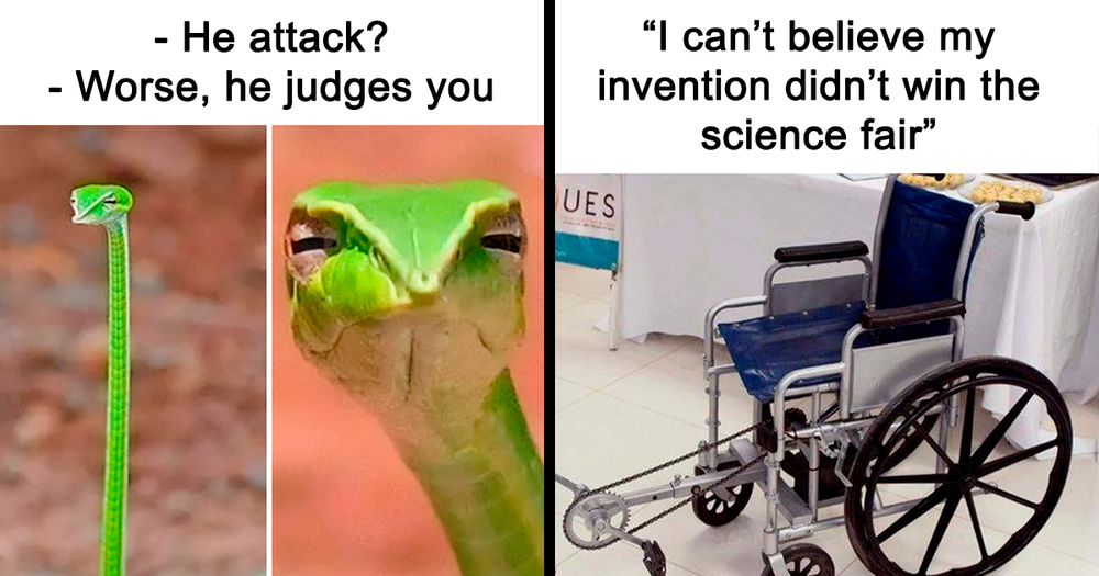 39 Funny Science Jokes And Memes That Don’t Require An IQ Of 300 To Get