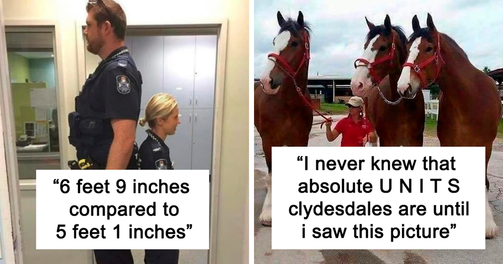 40 Photos With Humans For Scale To Show Just How Big Stuff Really Is ...