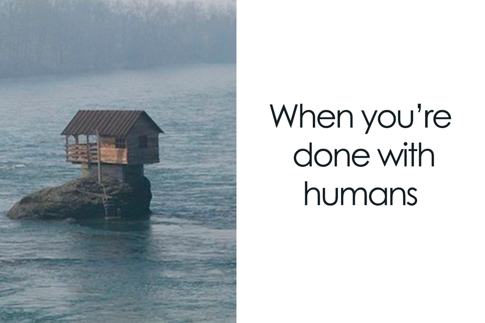 This Instagram Page Is Sharing “Antisocial Memes”, And Here Are 50 Of ...