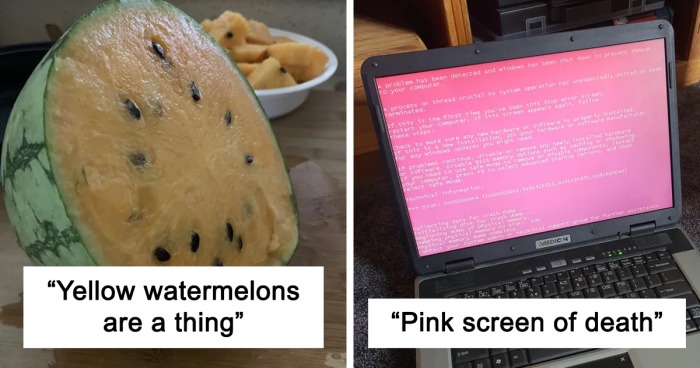 40 Unusual Things People Came Across That Made Them Think They’d ...