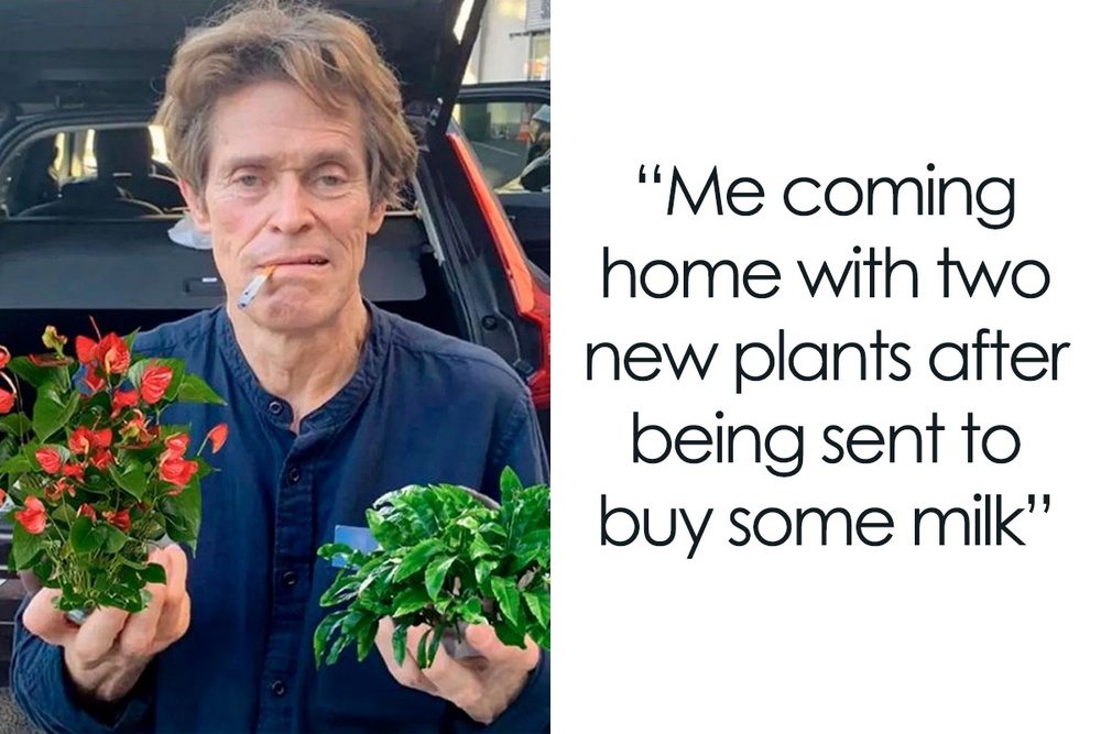 39 Hilariously Relatable Memes For People Who Love Their Plants Just A ...