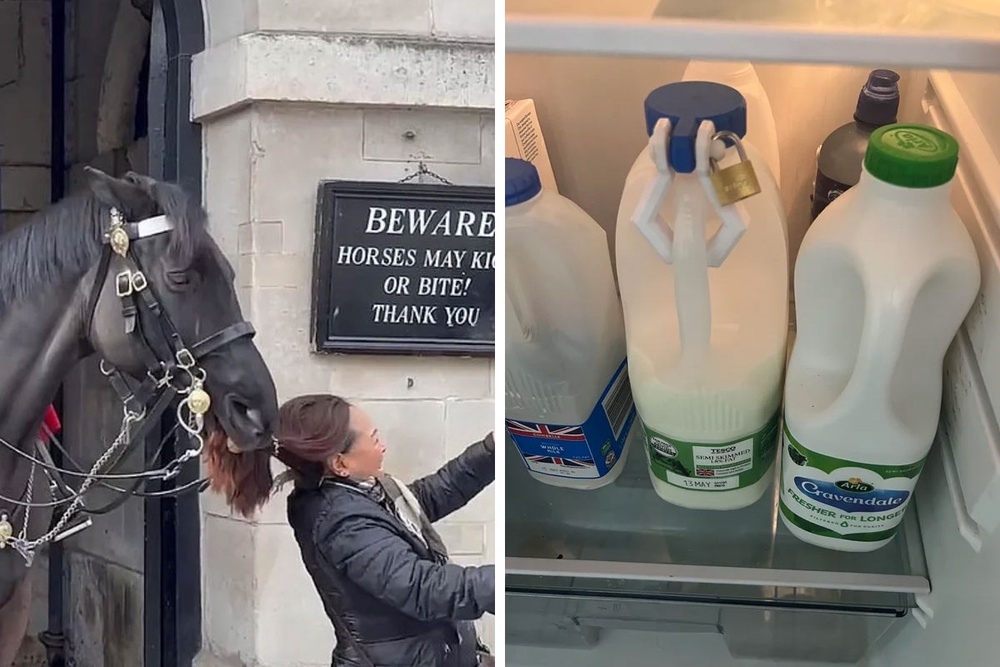 50 Incredibly British Pics That Show The Hilarious And Casual Side Of ...