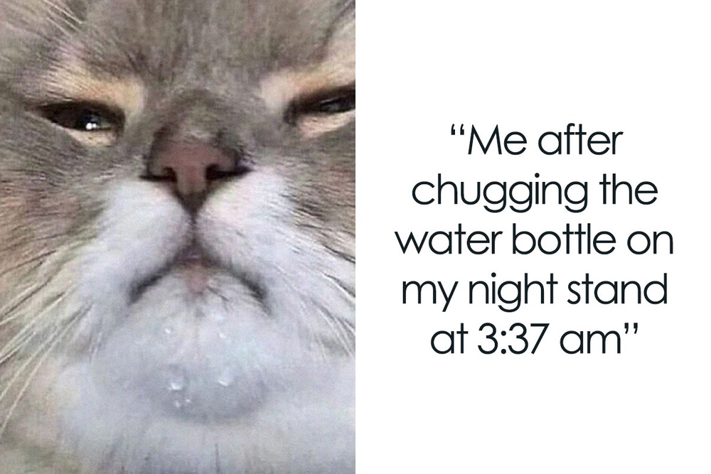 I’m Being Sarcastic’: 75 Relatable Memes To Shake Off The Feeling Of ...
