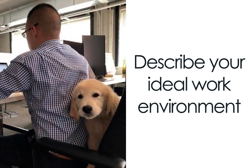 50 Memes That Dog Owners May Find Humorously Relatable