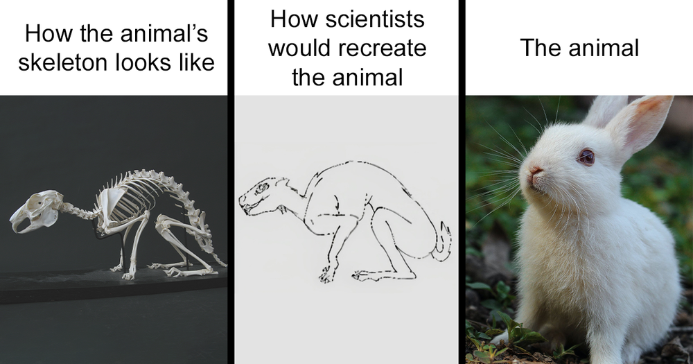 50 Clever Science Memes That Have Been Scientifically Proven To Cause ...
