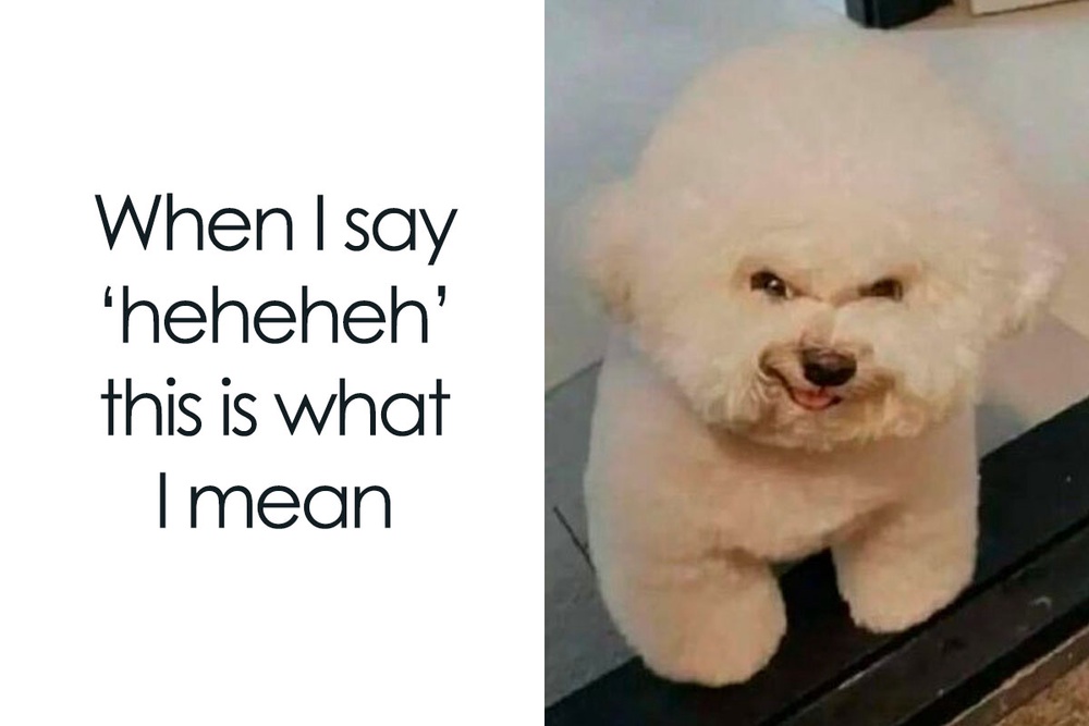 90 Hilarious Spot-On Memes To Make You Giggle, As Shared On This ...