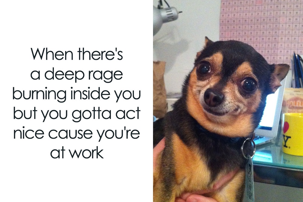 50 Workplace Memes To Cackle At Whilst You Ignore Your Responsibilities