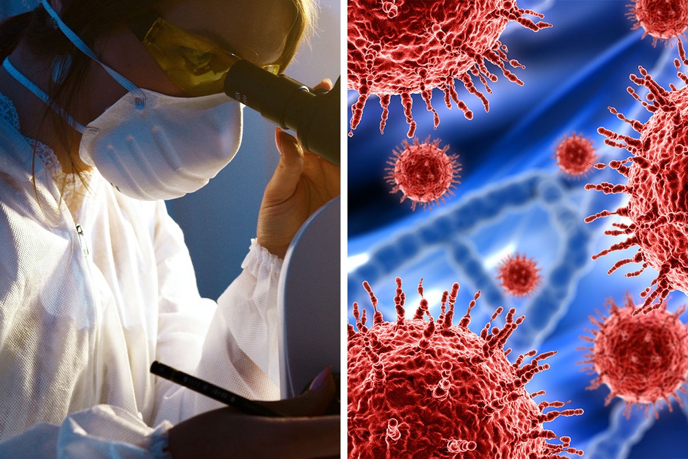 Scientists Find Groundbreaking “Switch” That Can Kill Off Cancer Cells Scientists Find Groundbreaking “Switch” That Can Kill Off Cancer Cells