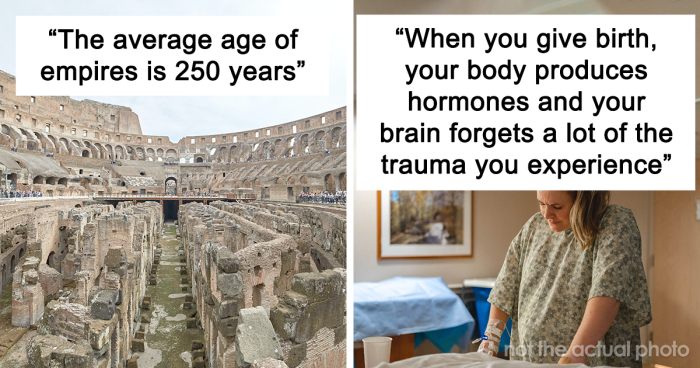 Someone Asks What Facts Sound Comforting But Are Actually Highly ...