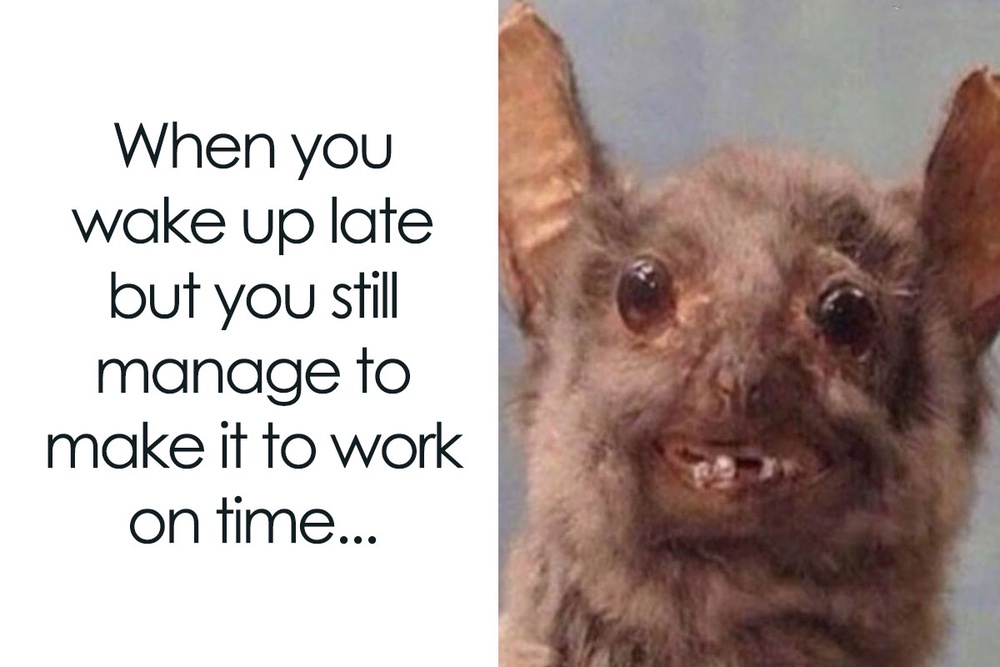 114 Funny And Relatable ‘Daily Work Memes’