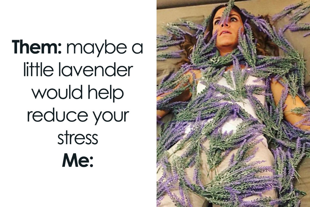 40 Funny WFH Memes To Help You Get Through The Work Day