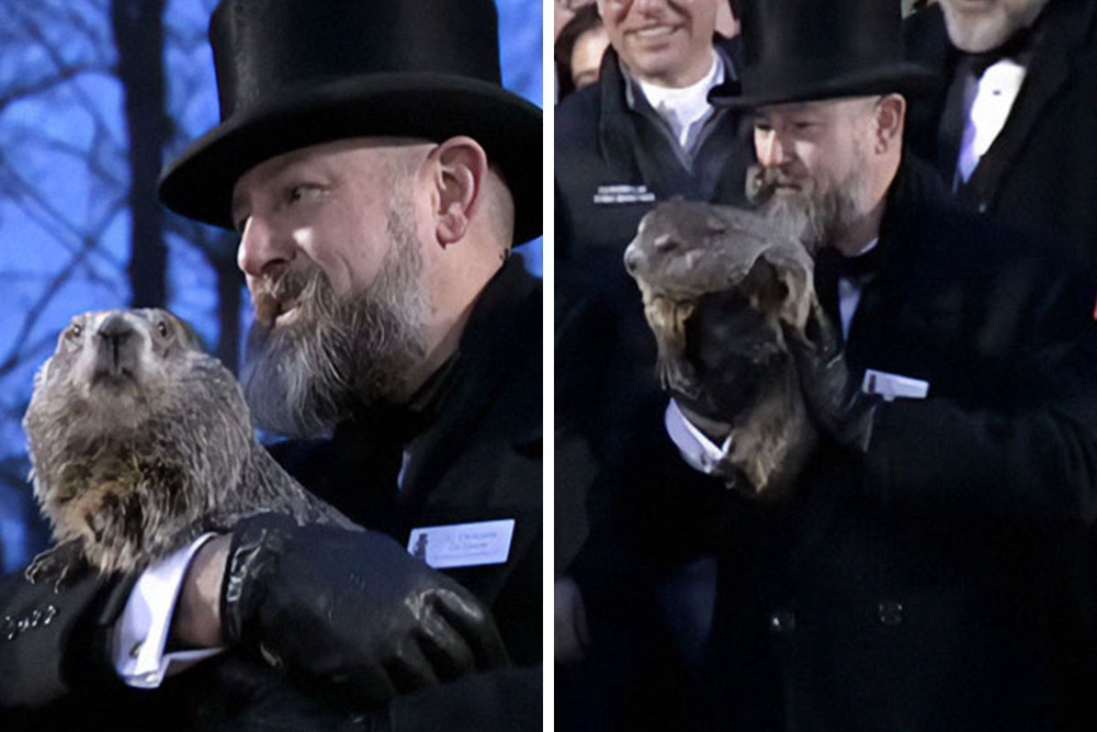 Crowd Witnesses Historic Groundhog Day As Punxsutawney Phil Doesn’t See ...
