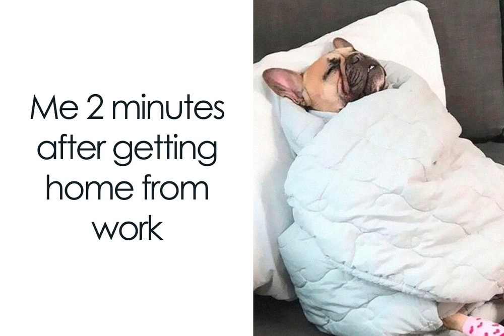 “Humor For The Working Chum”: 72 Posts From ‘Work Memes’ That You Might ...
