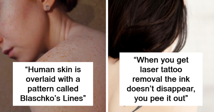 10 Cool But Pretty Disturbing Facts About The Human Body That Not Many ...