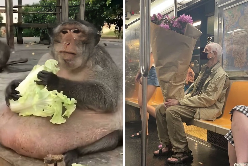 80 Times People Spotted “Absolute Units” Of Things And Just Had To Share Them Online (New Pics)