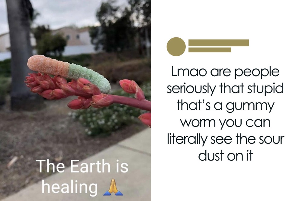 30 Hilarious Screenshots Of Overconfident People Completely Missing The ...