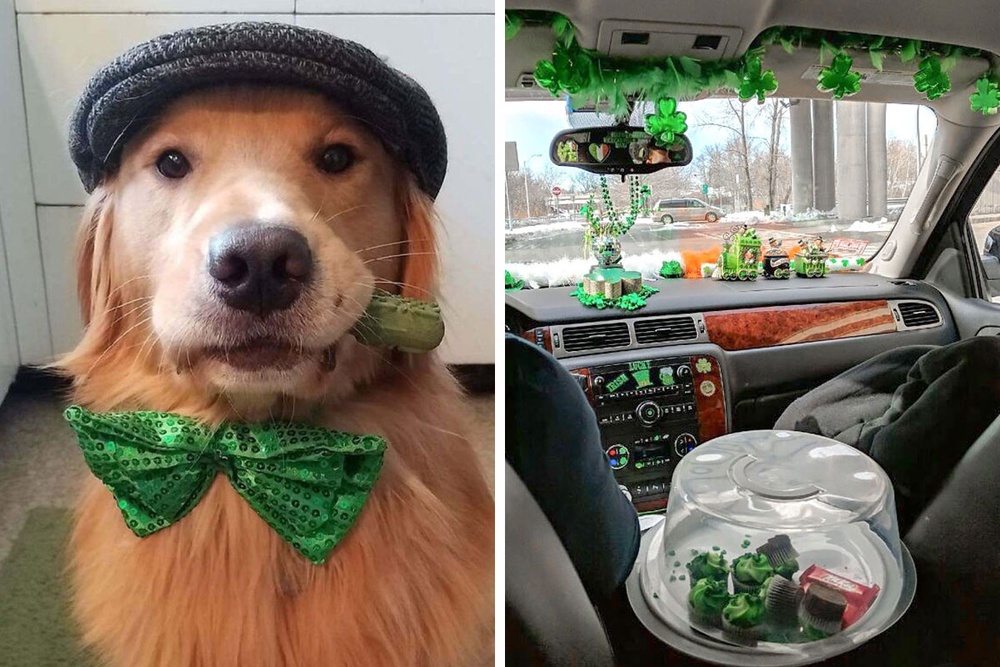 50 Wholesome And Funny Pics That Show How People Celebrate Saint ...