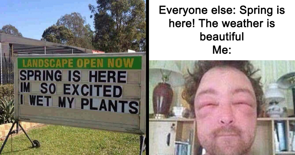 31 Funny Memes To Welcome Spring With All Its Joys And Flaws