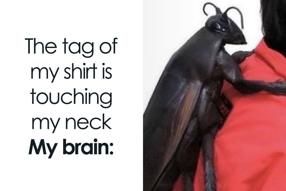 55 ‘Why Is My Brain Like This’ Memes That Almost Seem Like Personal Attacks