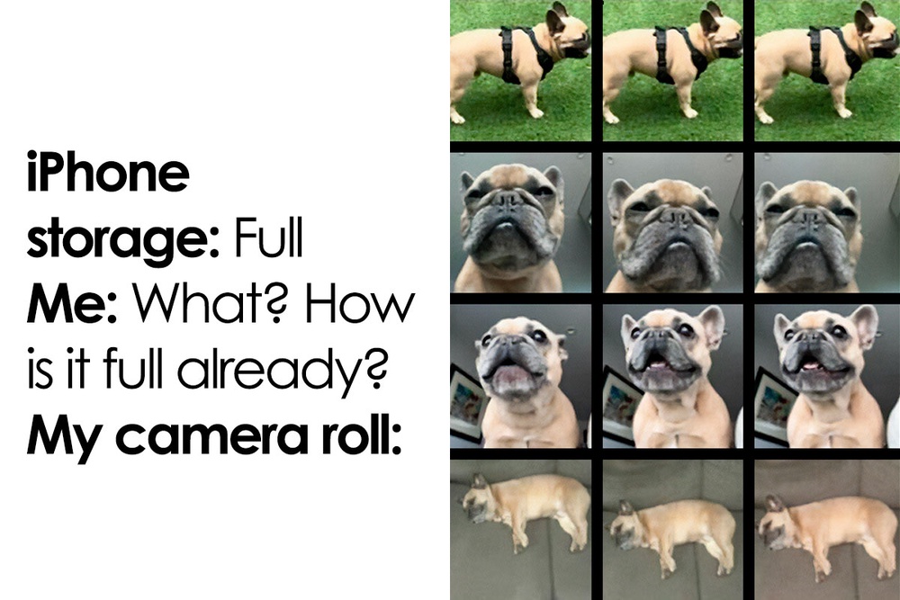 This IG Page Is Dedicated To Hilarious And Random Memes, Here Are The ...