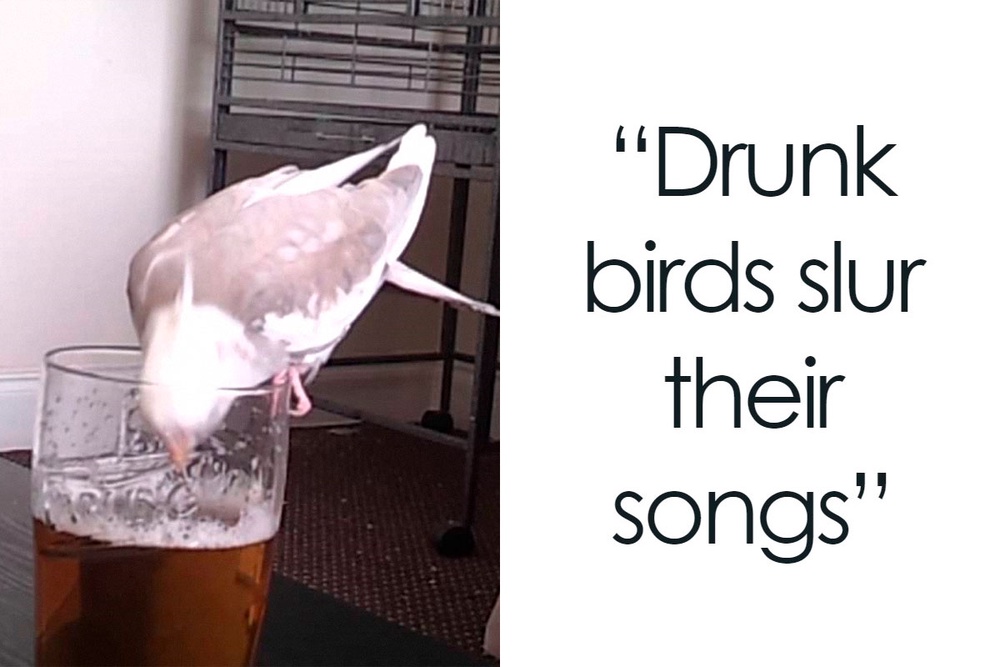 50 Weird Science Posts That Have Been Scientifically Proven To Be ...