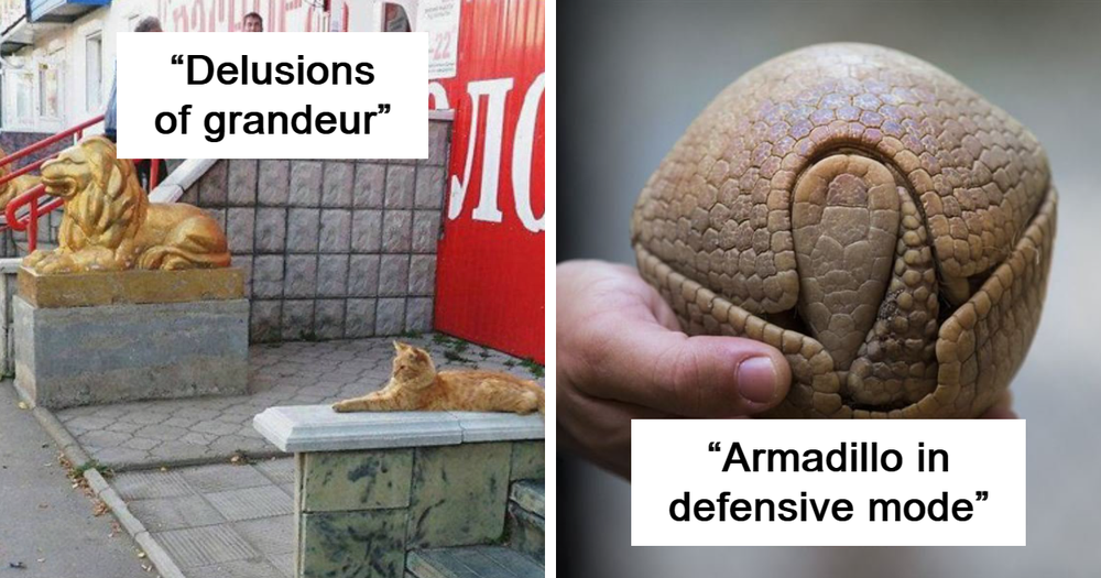 49 Weird Science Posts That Have Been Scientifically Proven To Be ...