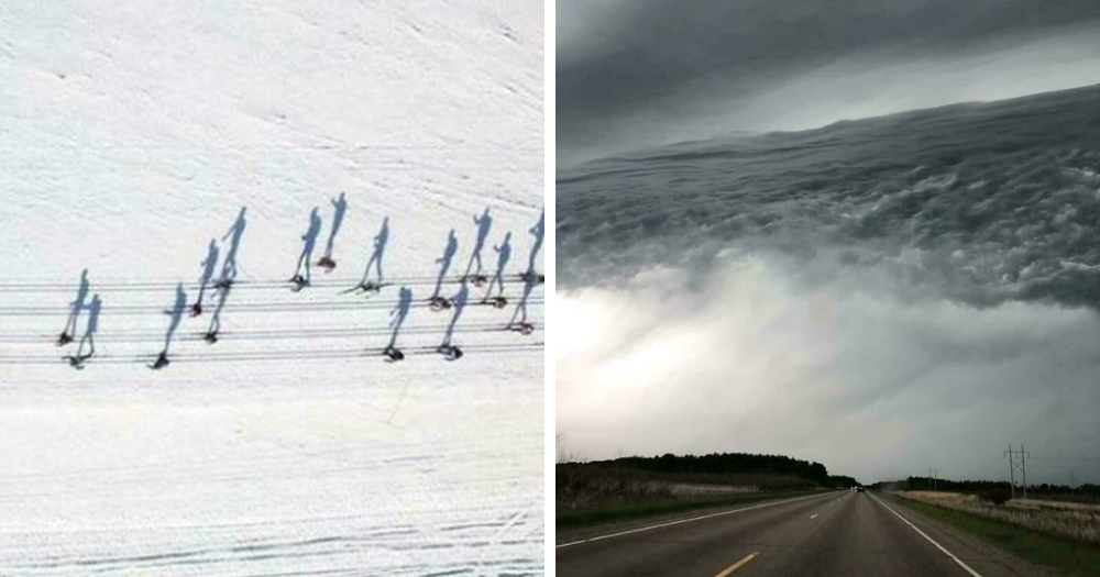 105 Seriously Confusing Pics That Might Require A Double Or A Triple ...