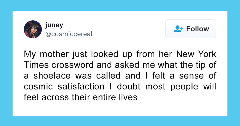 42 Funny Tweets Dedicated To Those Who Like “Tastefully Offensive ...