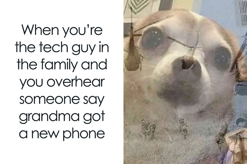 50 Random Memes To Share With A Random Person At The Bus Stop