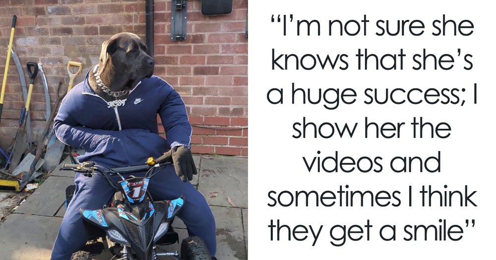 Hilarious Videos Of Mist The Cane Corso Dressed As Human Go Viral, Earn ...
