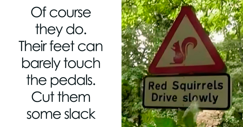 80 Hilarious Memes That Display British Humor At Its Finest