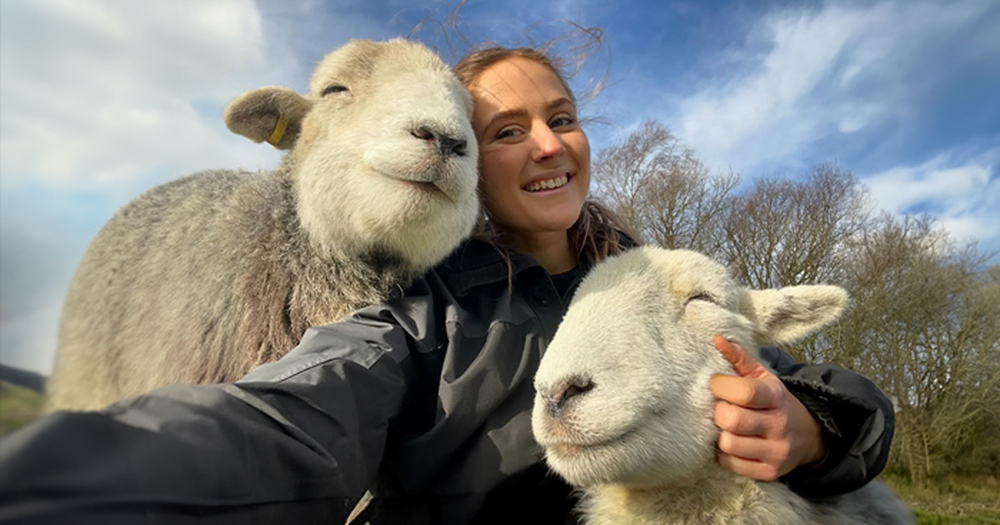 Woman And Her 3 Sheep, Rabbit, Tic, And Bandi, Go Viral As Netizens Can ...