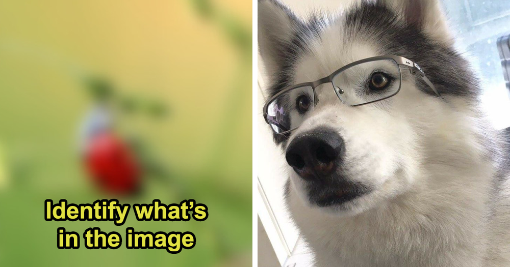 Put Your Eyes To The Test With This Blurry Image Challenge: Identify ...