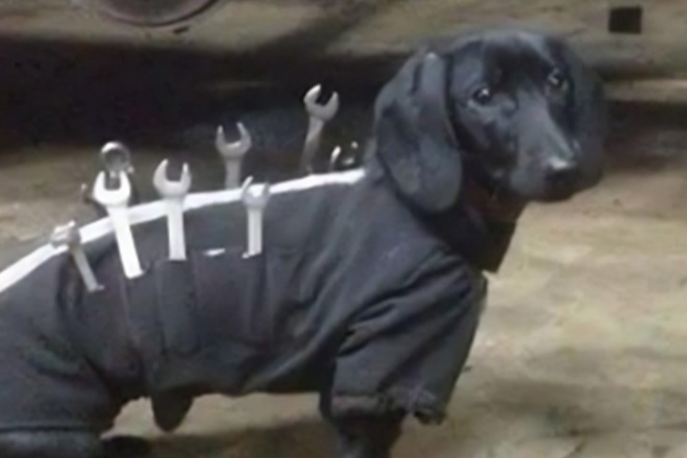 “Your Daily Dose Of Funniest Memes”: 50 Hilarious Posts From This ...