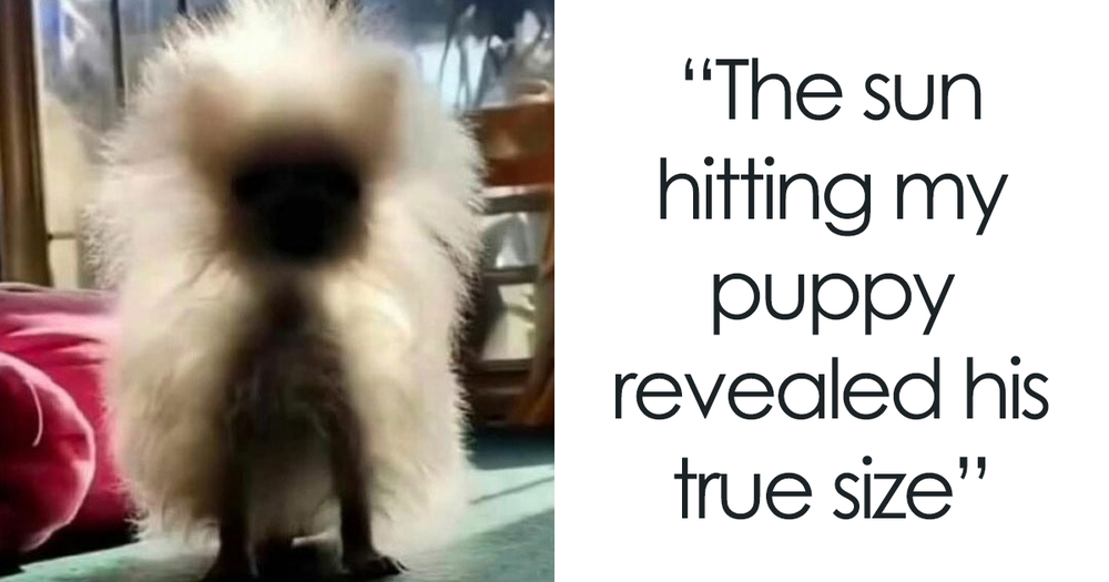 105 Uplifting Memes And Posts For That Daily Dose Of Positivity (New Pics)