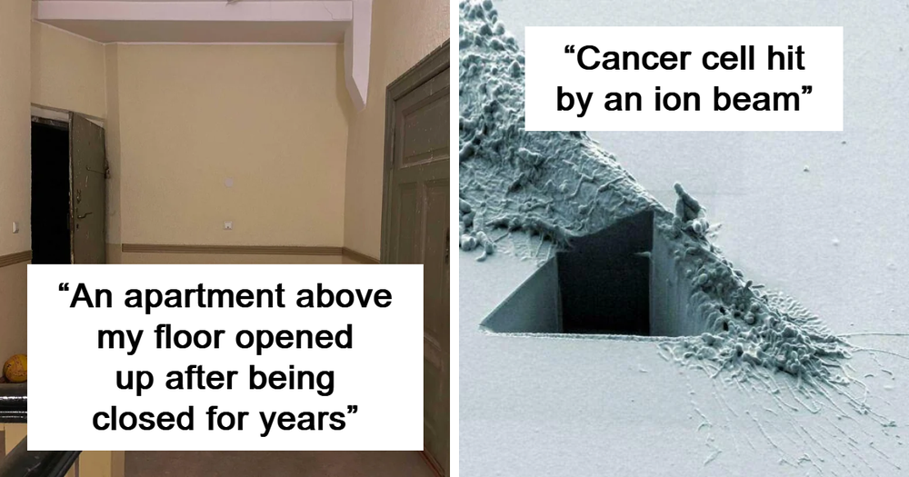 “Oddly Terrifying”: 50 Of The Most Unnerving Images That Feel Like A ...