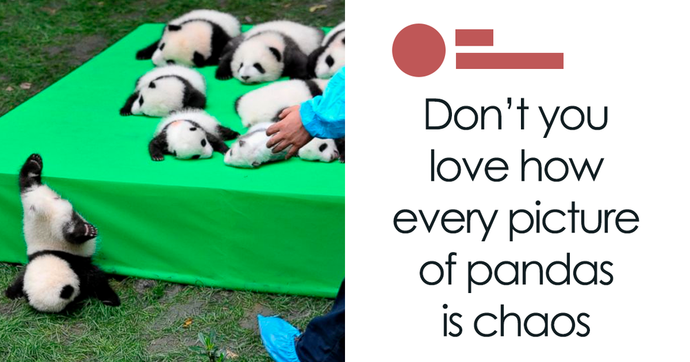 If You Enjoy Random Funny Things, These 70 Memes May Just Tickle Your Fancy